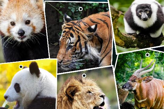 Top 10 Most Biodiverse Countries