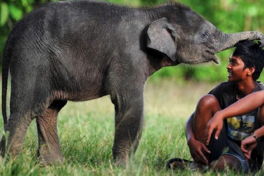 Top 10 Most Biodiverse Countries